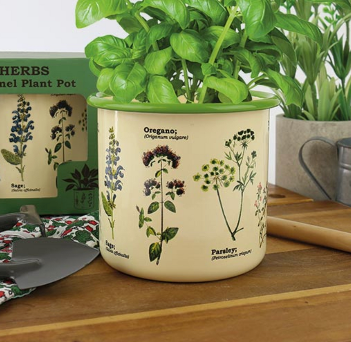 Herbs Enamel Plant Pot – World of Mirth