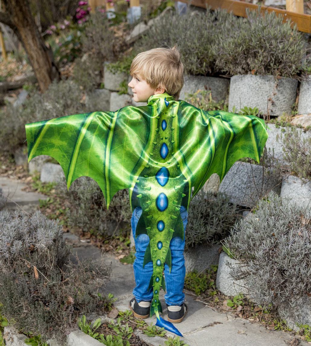 Legendary Dragon Soft Wings with Mask – World of Mirth