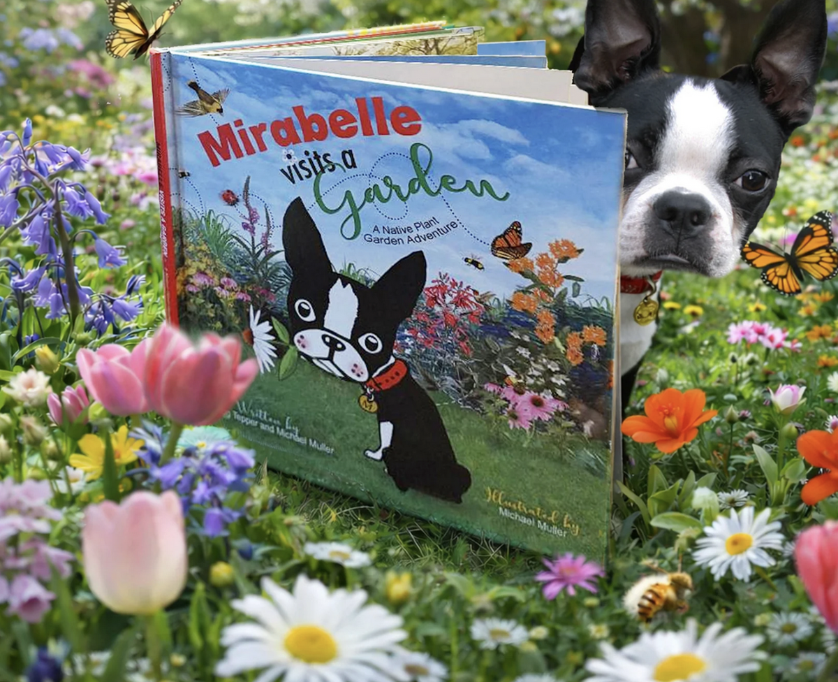 Mirabelle Visits a Garden – World of Mirth