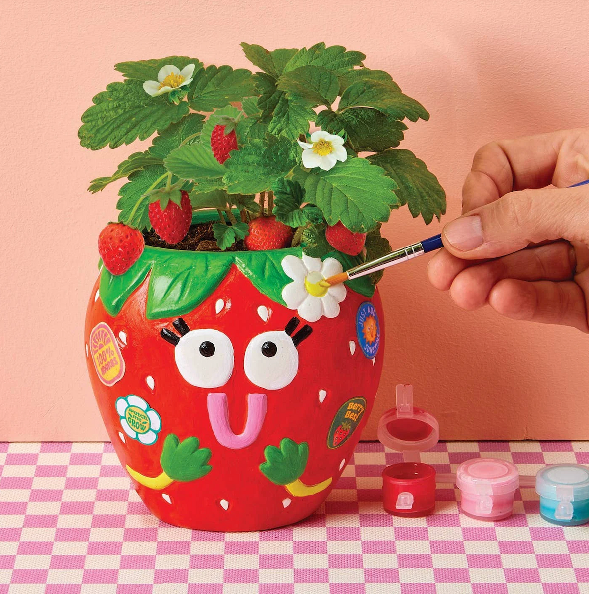 Paint & Grow Strawberry – World of Mirth