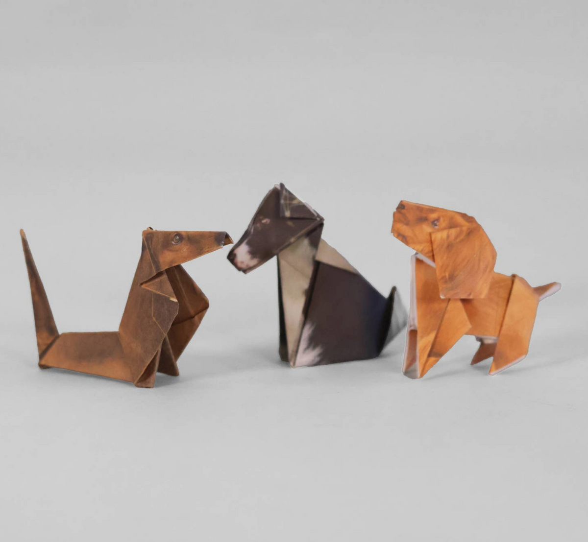 Paper Pups Origami Kit – World of Mirth