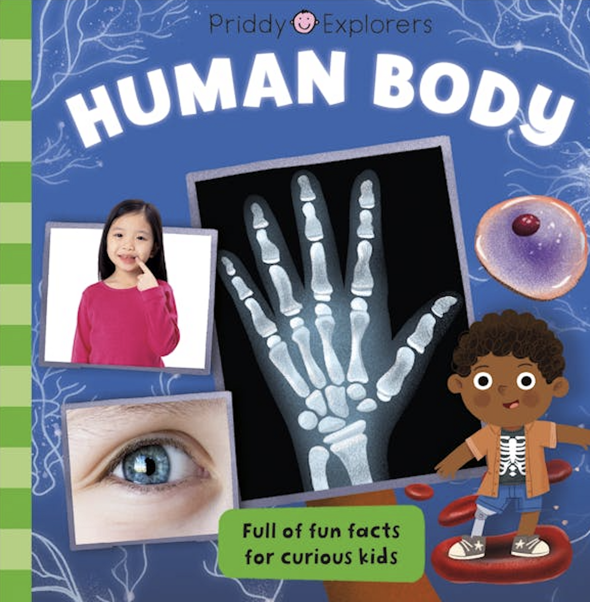 Priddy Explorers Human Body – World of Mirth