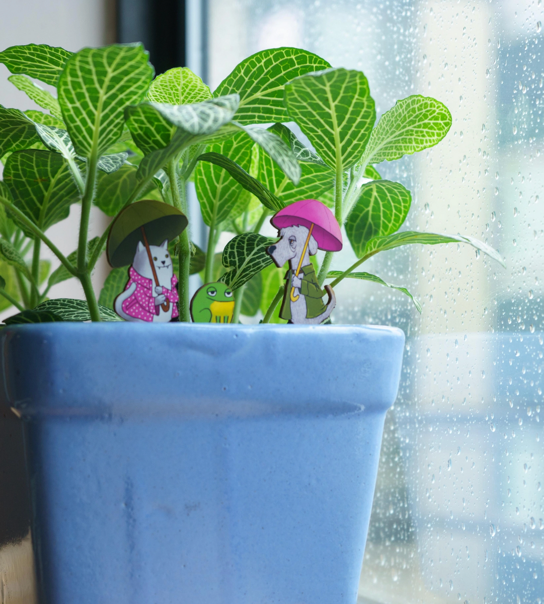 Raining Cats & Dogs Fancy Plants Diorama Kit – World of Mirth