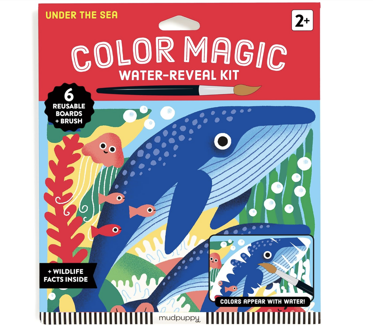 Under The Sea Color Magic Water Reveal Kit – World of Mirth