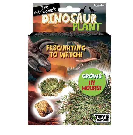 Dinosaur Plant – World of Mirth