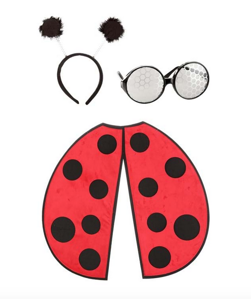 Ladybug Costume Kit – World of Mirth