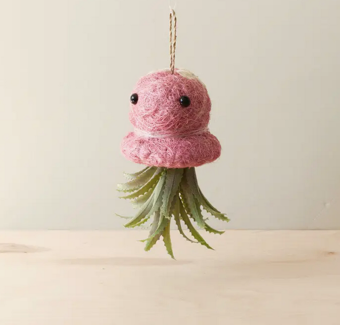 Octopus Planter for Air Plants – World of Mirth