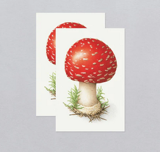 Toadstool Temporary Tattoos – World of Mirth